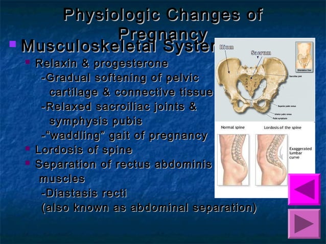 INTEGUMENTARY and MUSCULOSKELETAL SYSTEM | PPT | Pregnancy ...