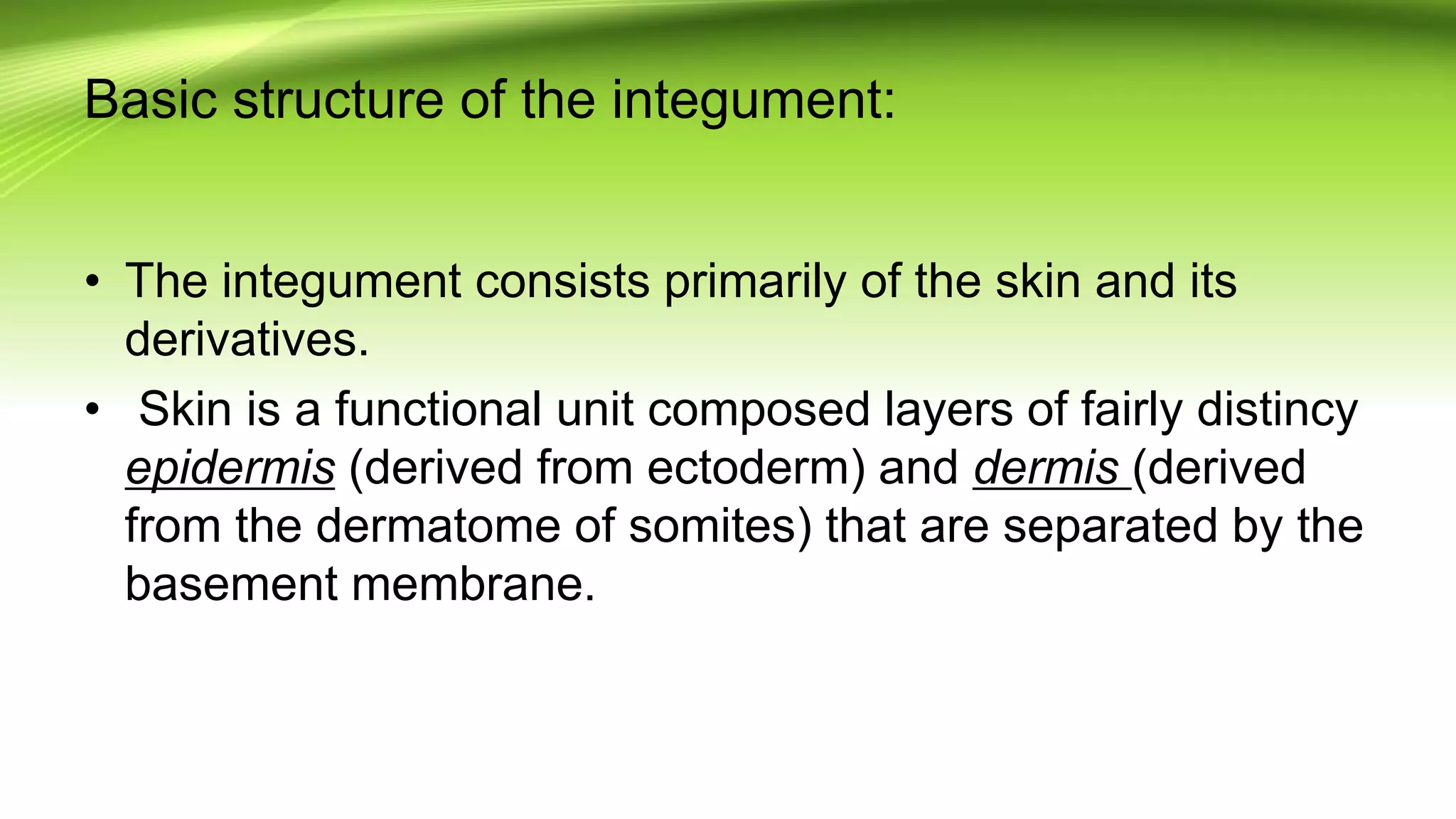 Integumentary derivative | PPTX