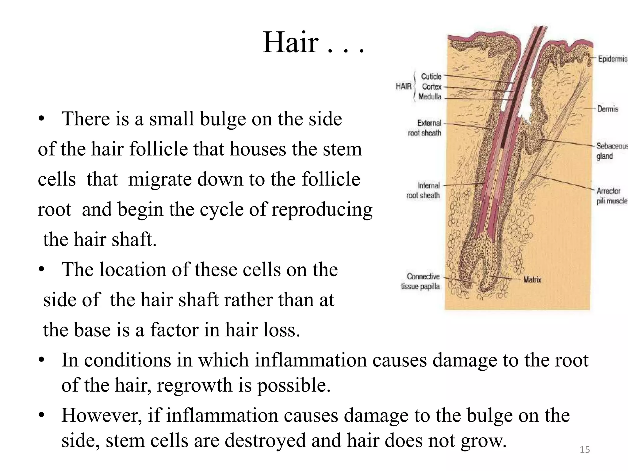 Integumentary disorders.ppt