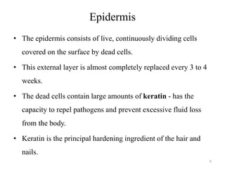 Integumentary disorders.ppt