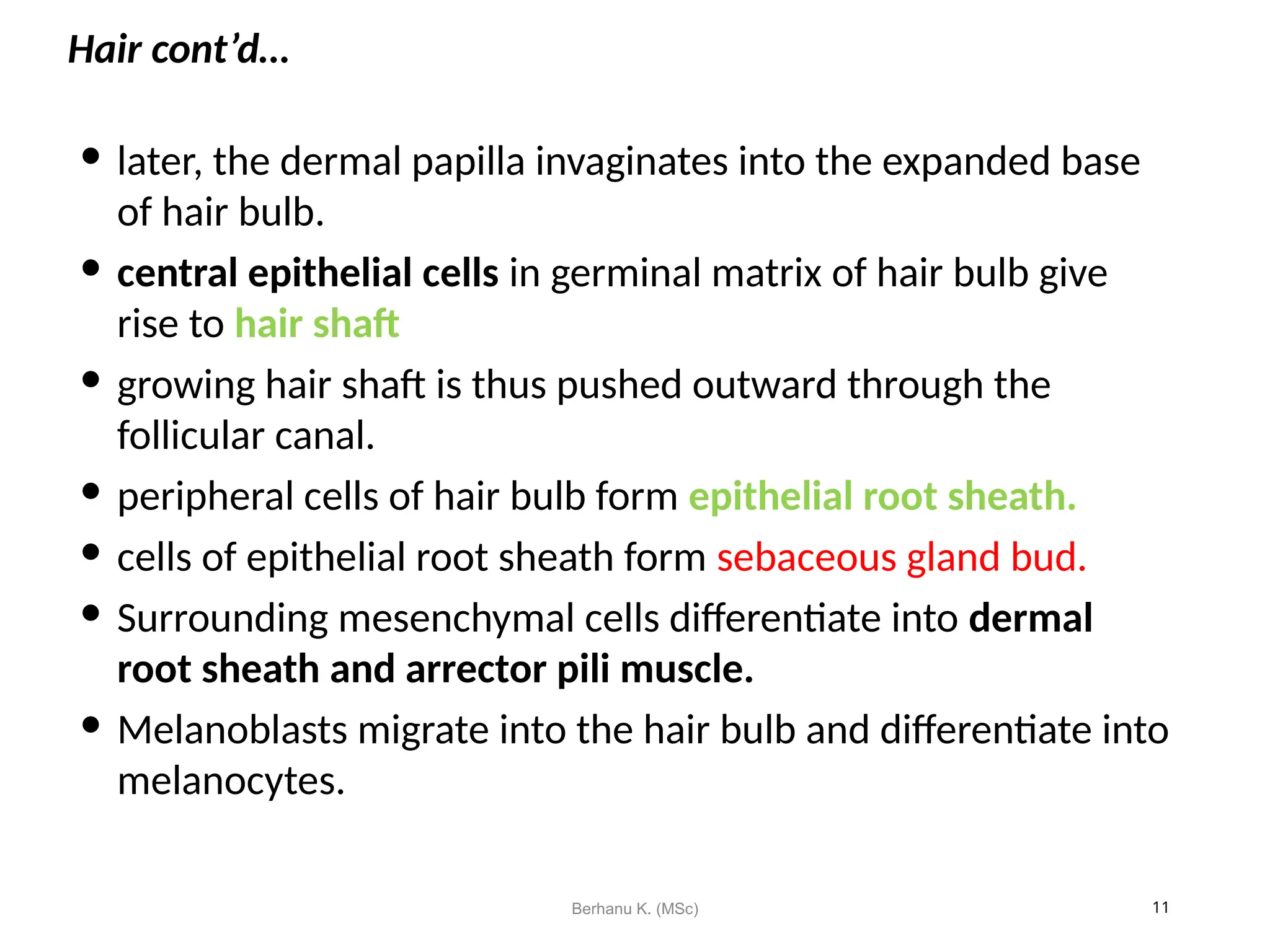 Integumentary development -Embryology.ppt