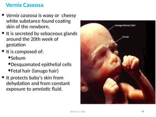 Integumentary development -Embryology.ppt
