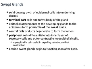 Integumentary development -Embryology.ppt