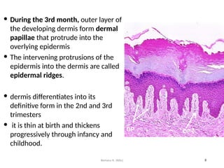 Integumentary development -Embryology.ppt