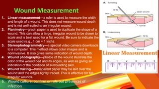 Integumentary integrity tests and measures | PPTX