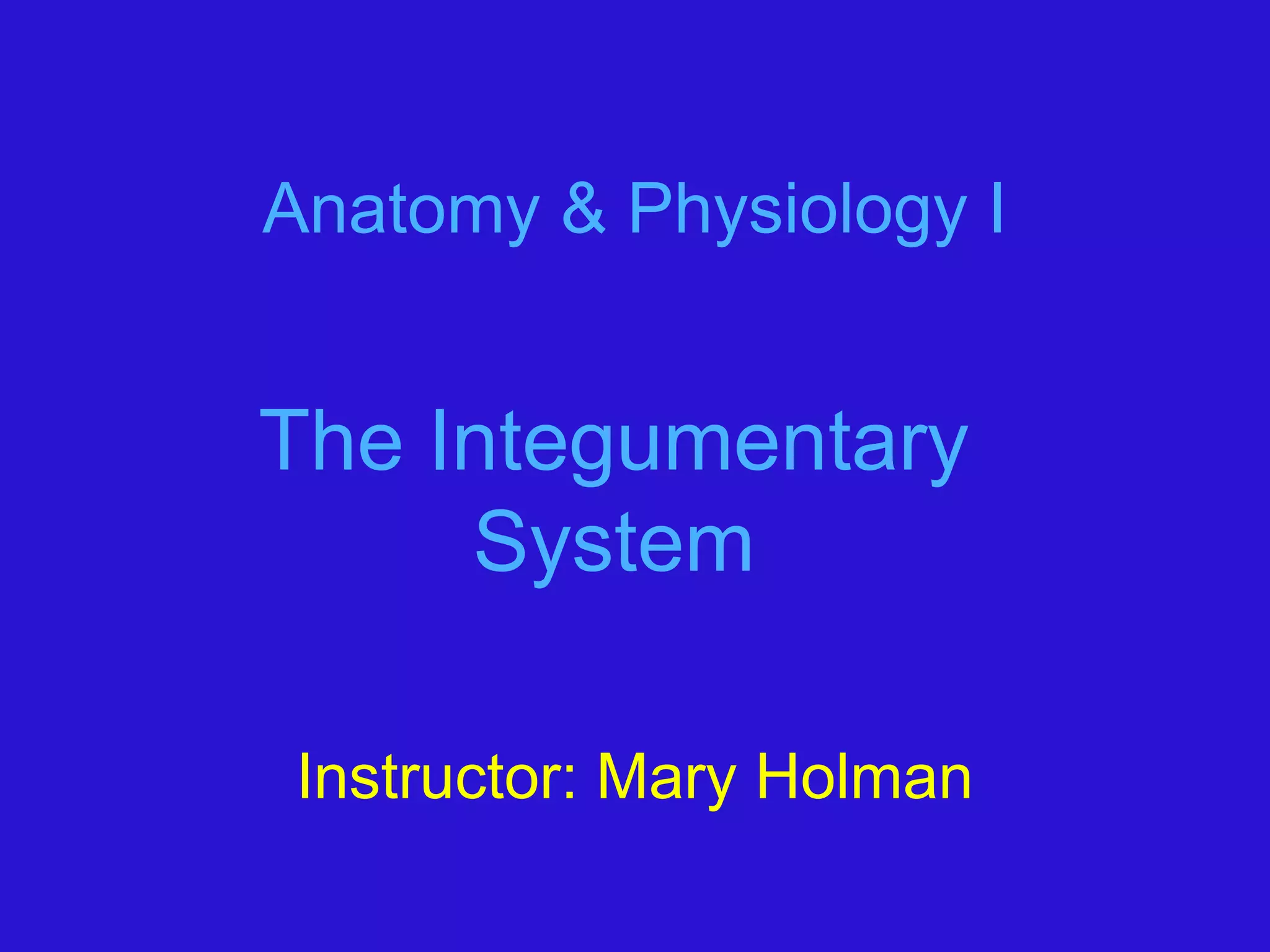 Integumentary Sys.ppt