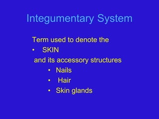 Integumentary Sys.ppt
