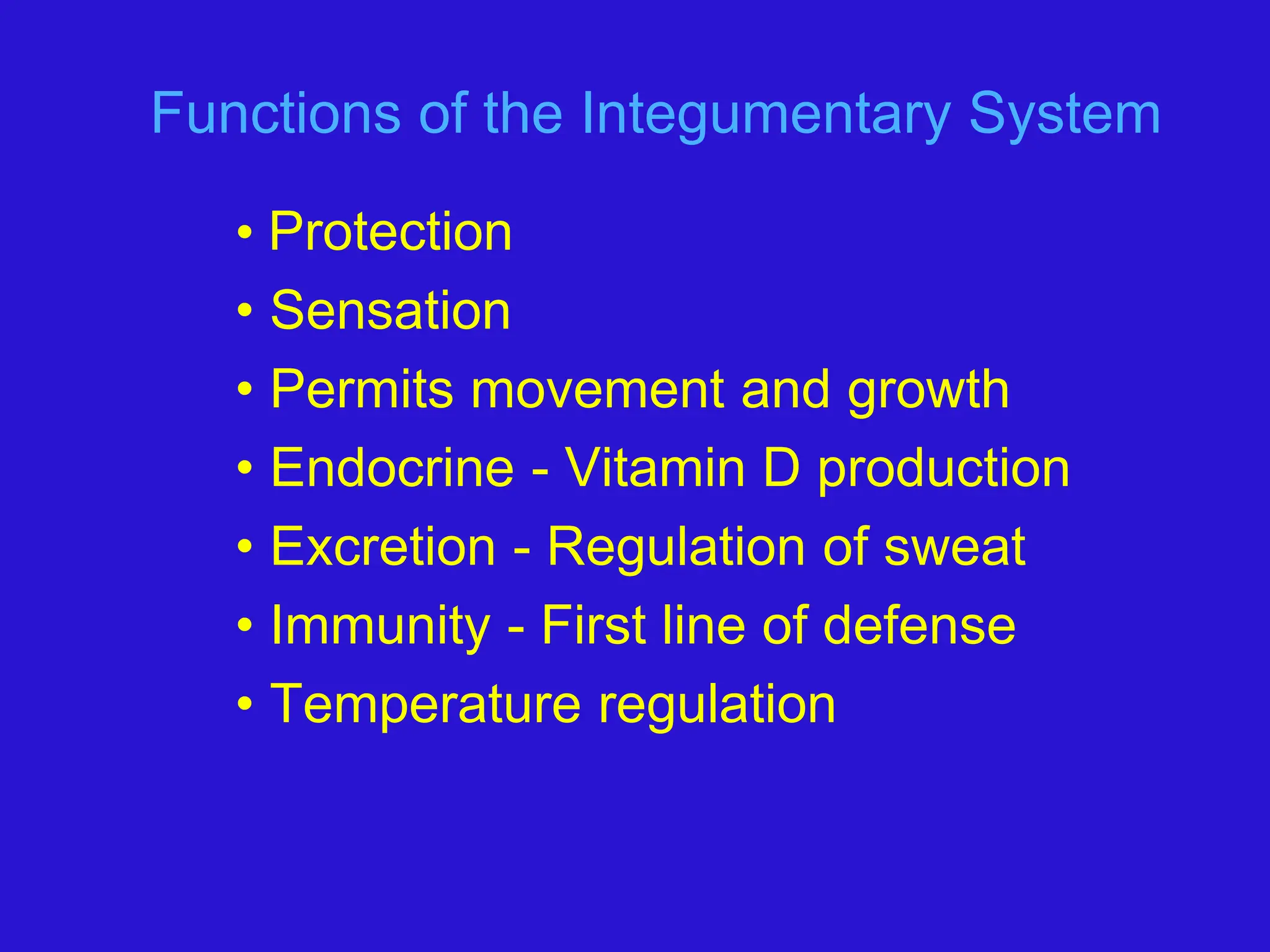 Integumentary Sys.ppt