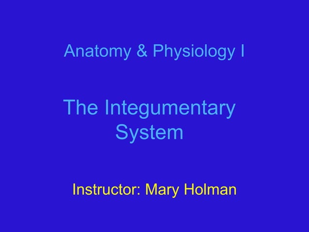 Integumentary Sys.ppt