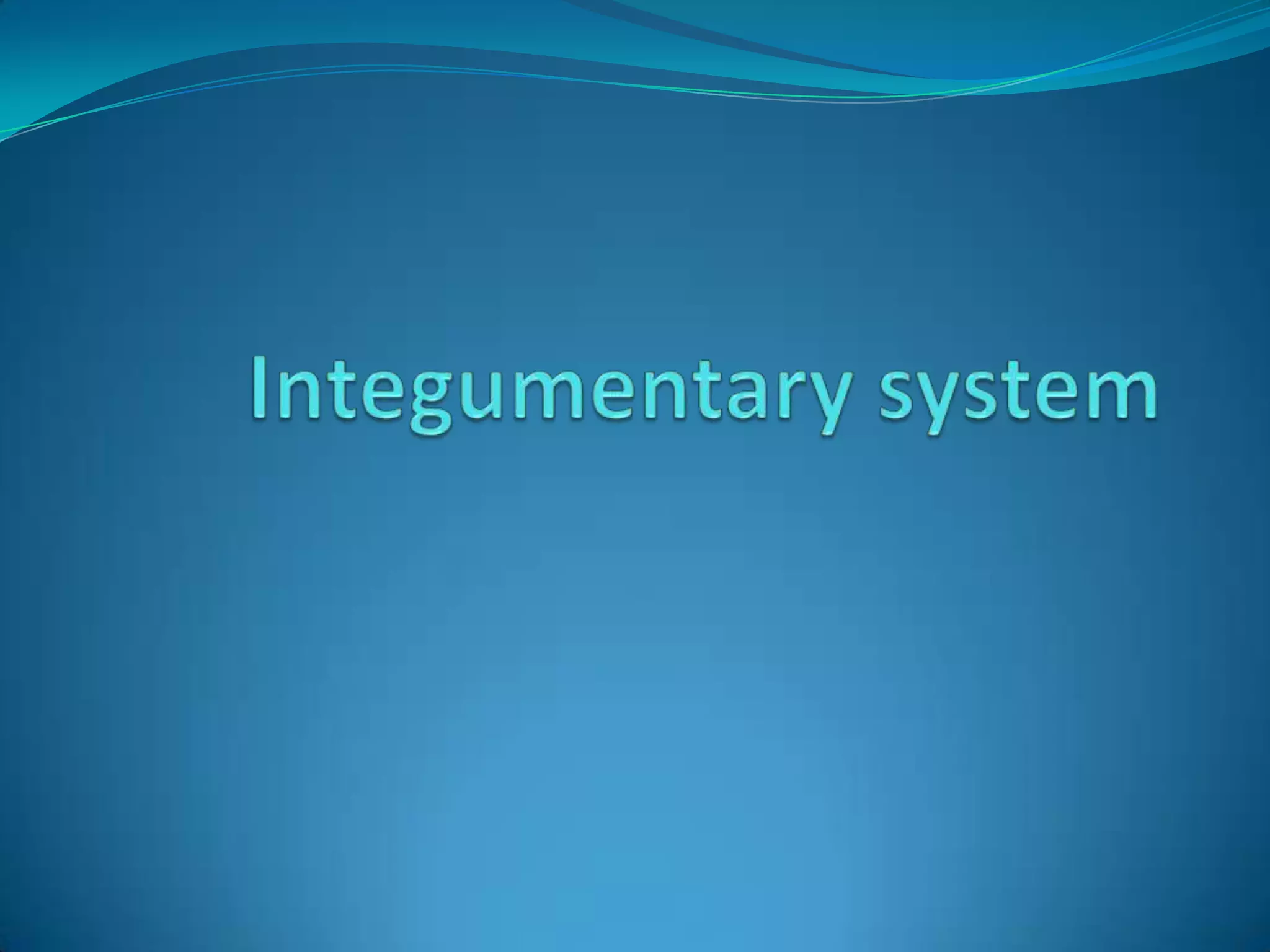 Integumentary System | PPT