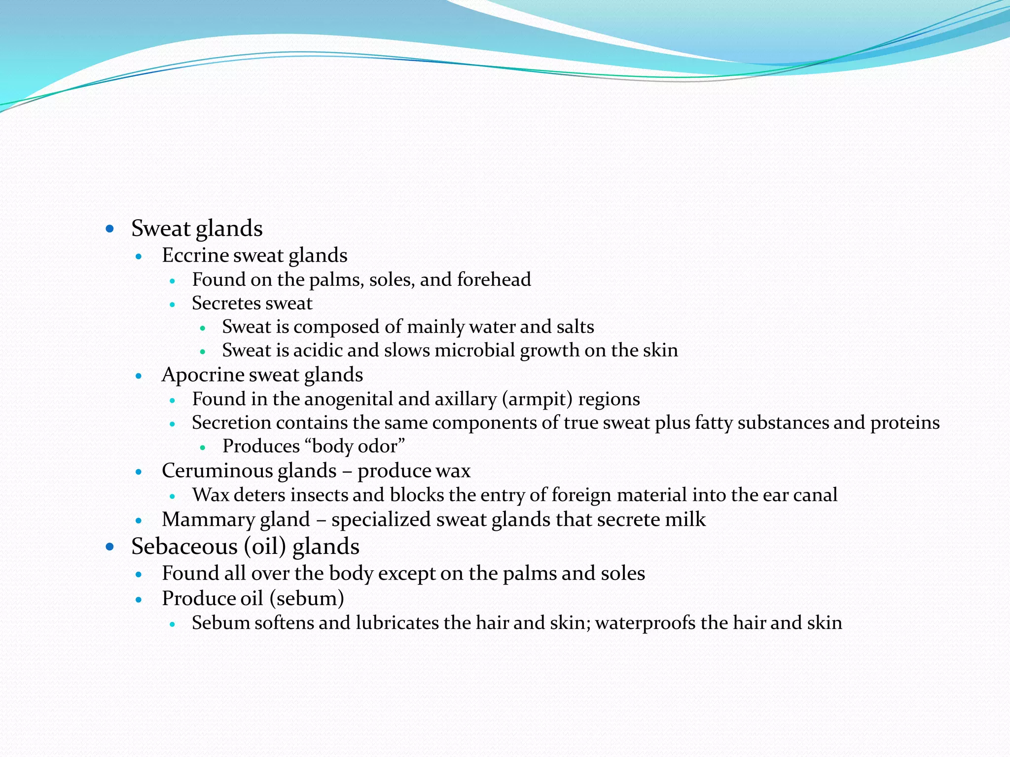 Integumentary System | PPT