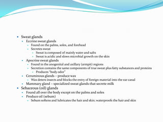 Integumentary System | PPT