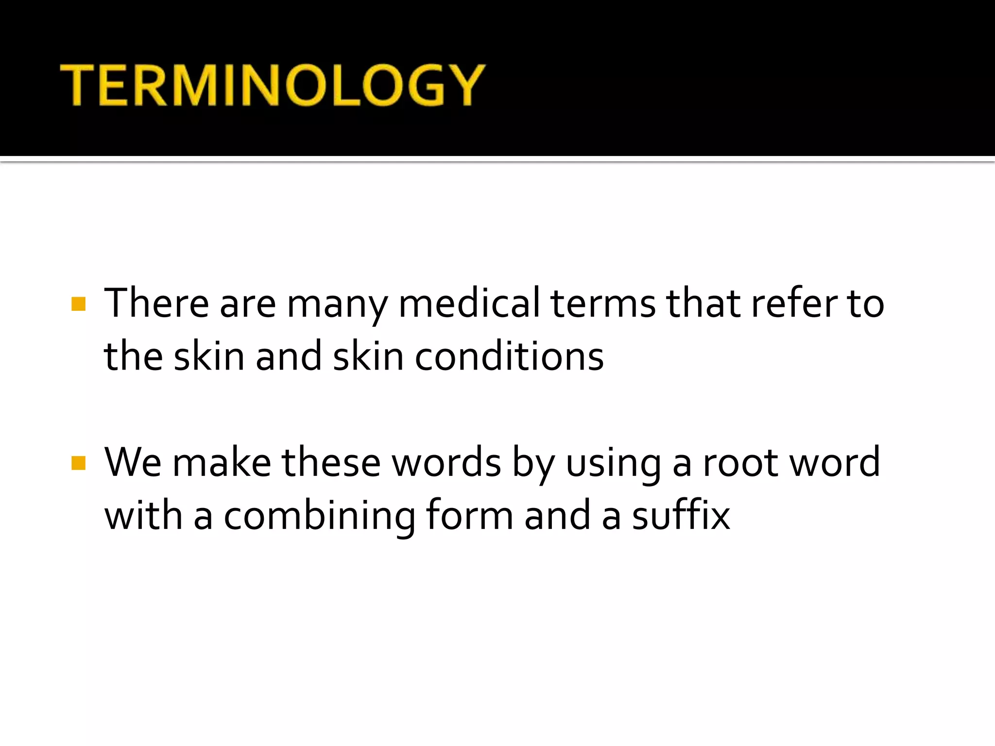 Integumentary System | PPTX