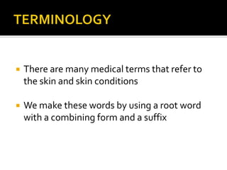 Integumentary System | PPTX