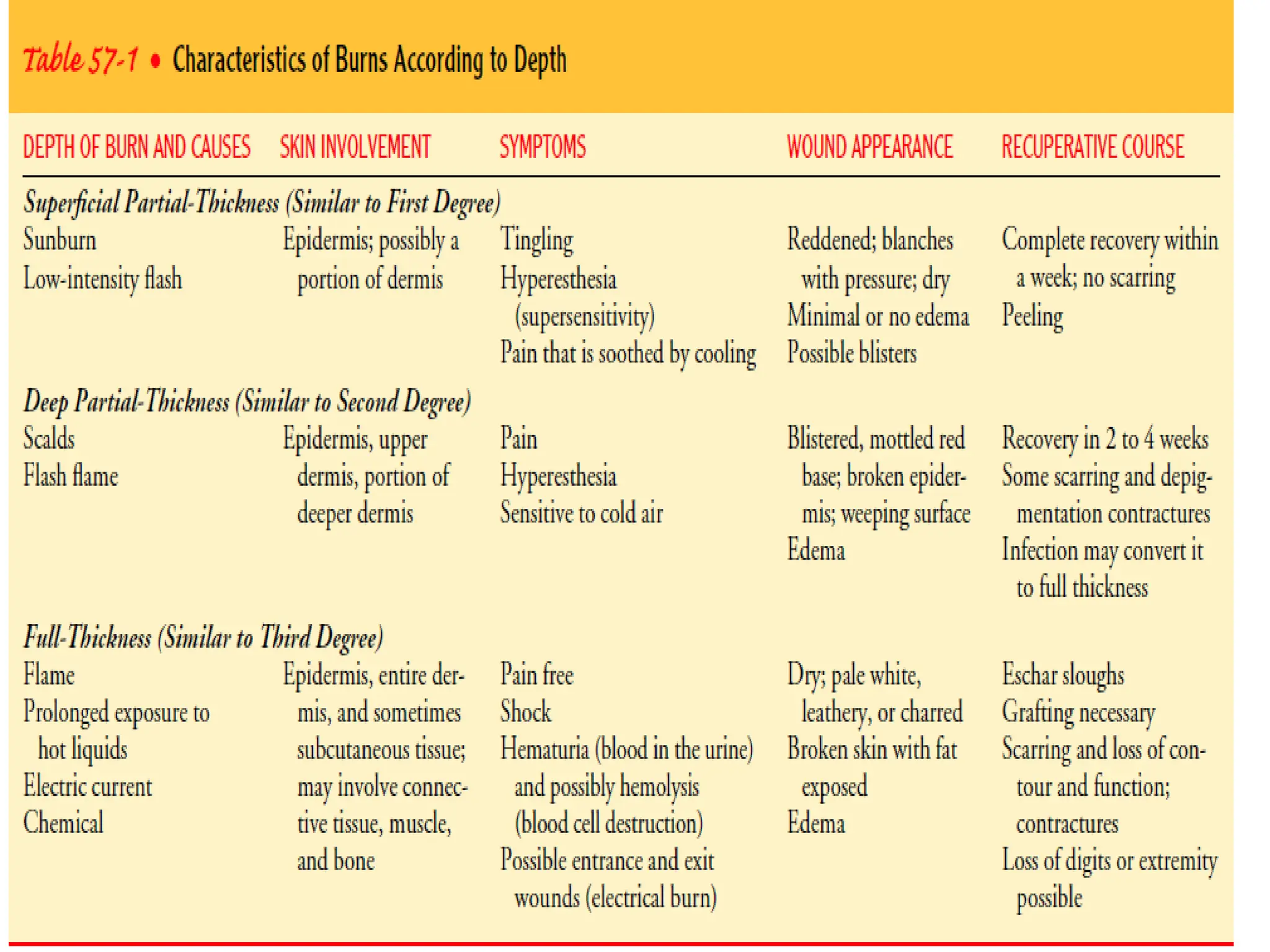 integumentary_system- medical and surgical condition.ppt