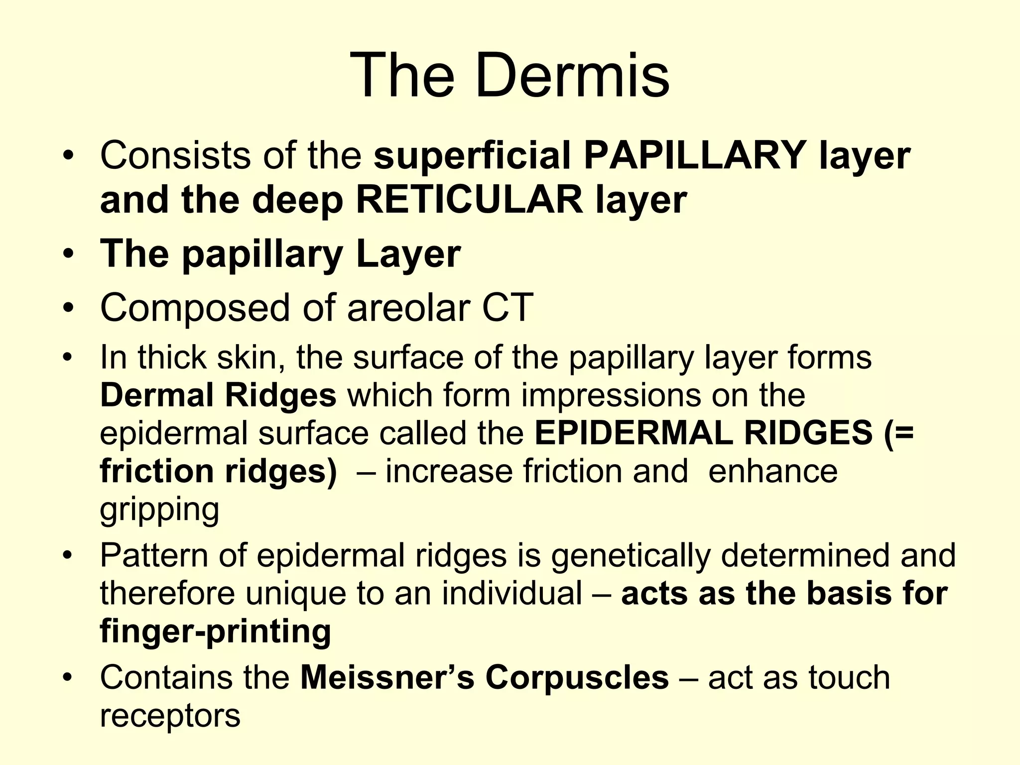 Integumentary system | PPT | Skin and Dermatology | Diseases and Conditions