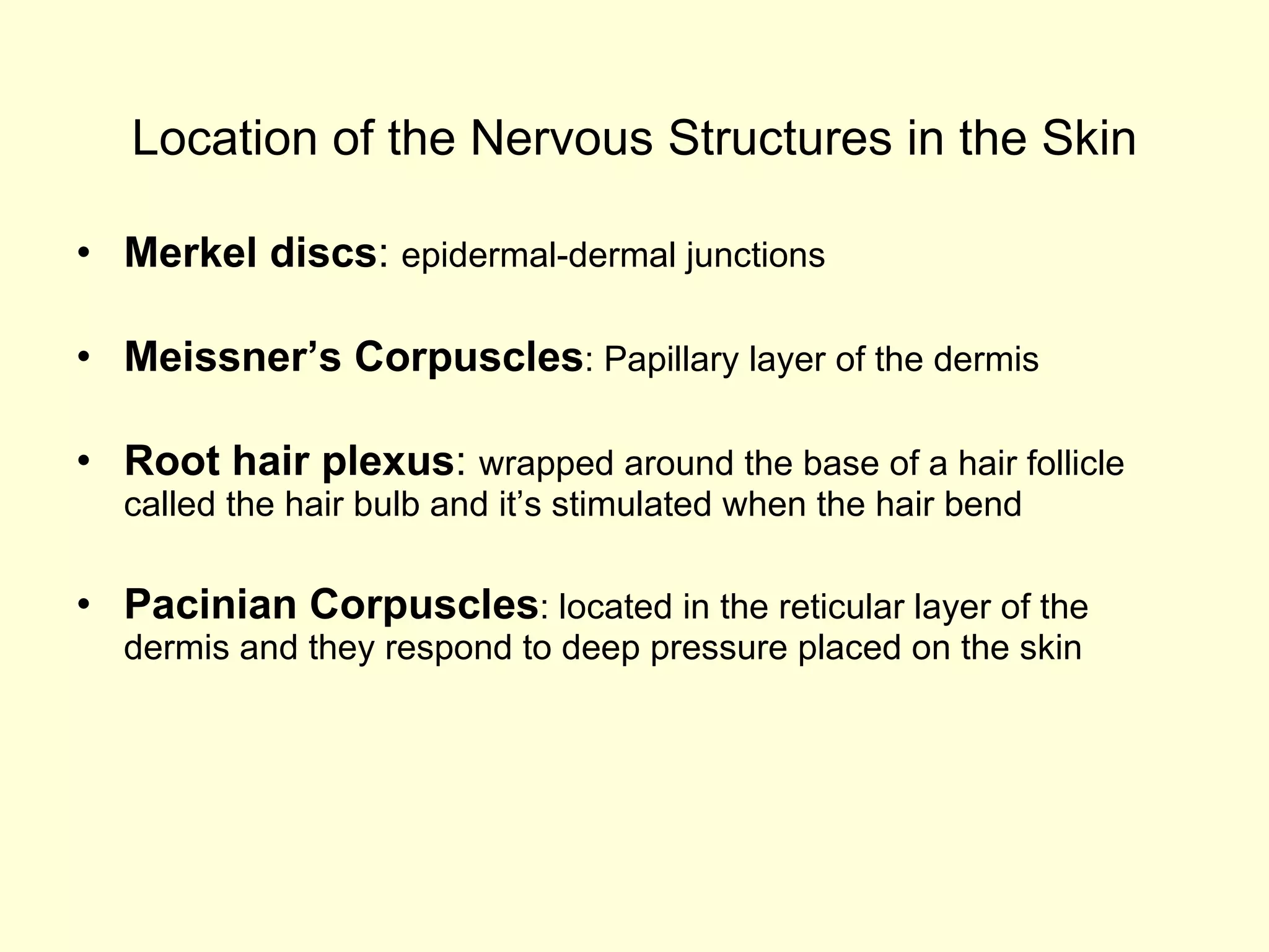 Integumentary system | PPT | Skin and Dermatology | Diseases and Conditions