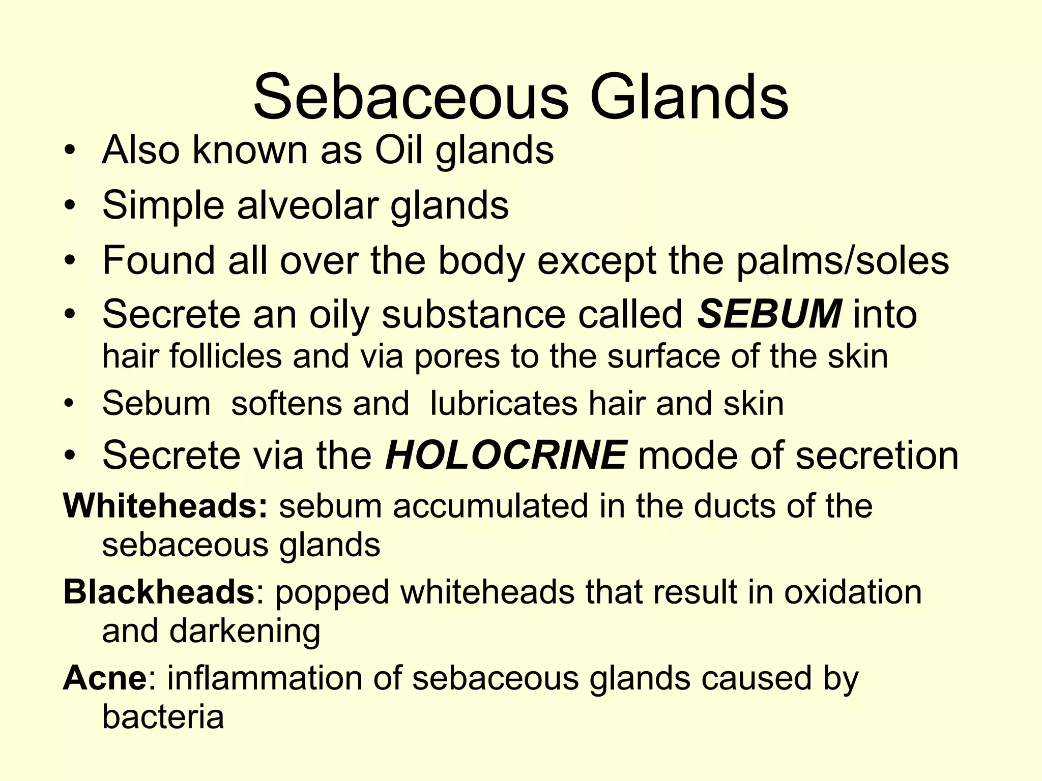 Integumentary system | PPT | Skin and Dermatology | Diseases and Conditions