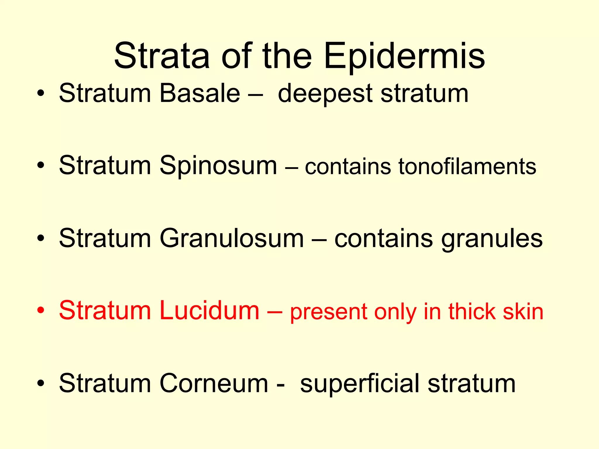 Integumentary system | PPT | Skin and Dermatology | Diseases and Conditions