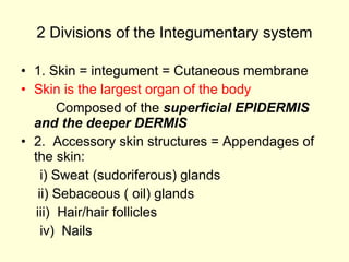 Integumentary system | PPT | Skin and Dermatology | Diseases and Conditions