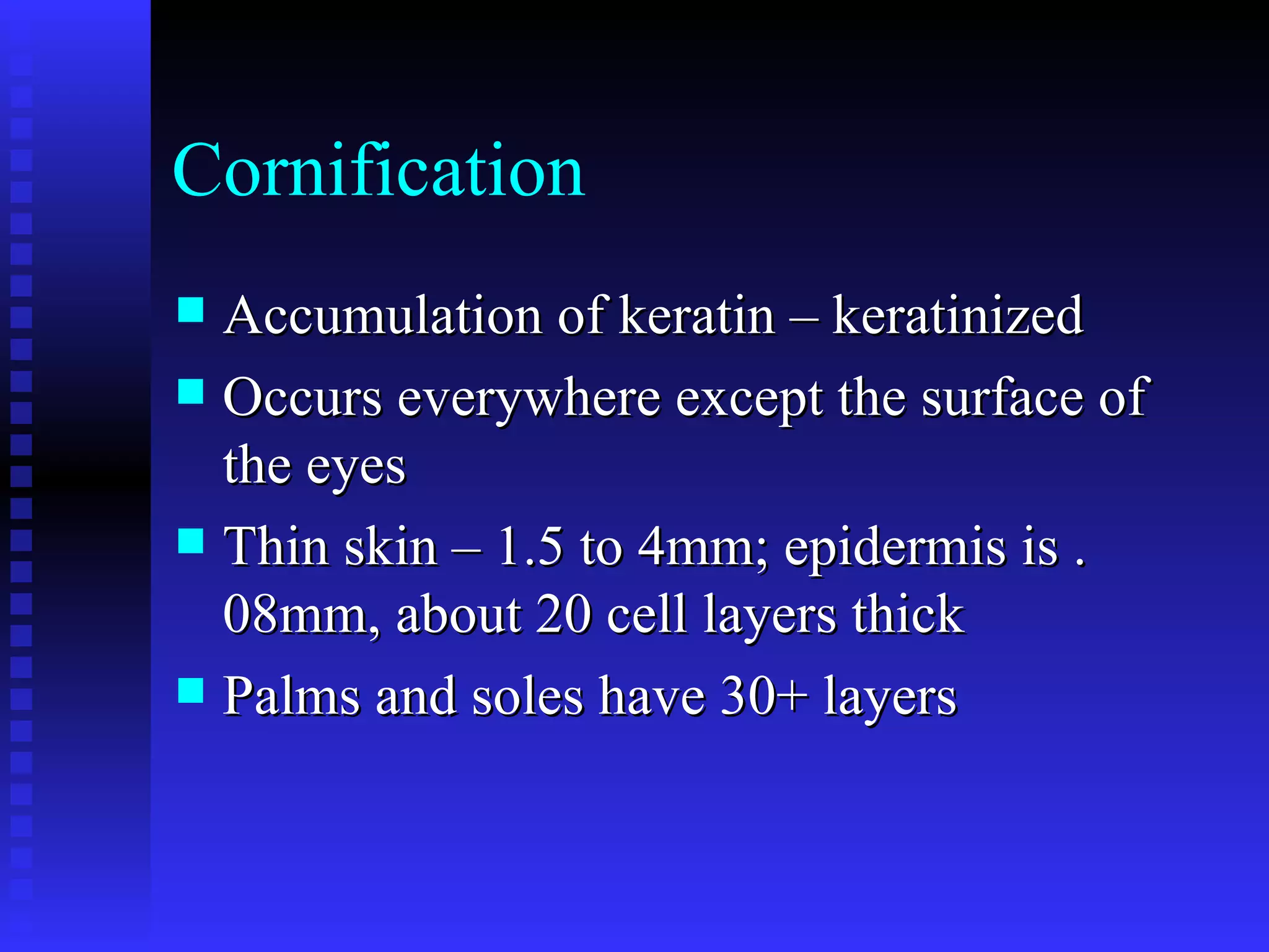 Integumentary system | PPT