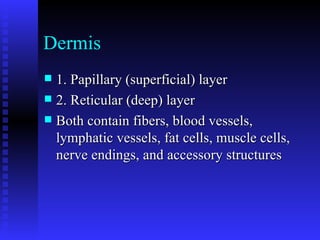 Integumentary system | PPT