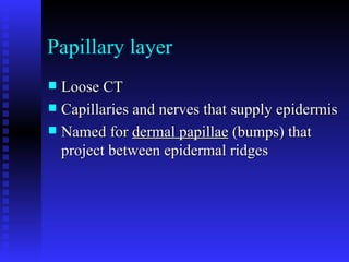 Integumentary system | PPT