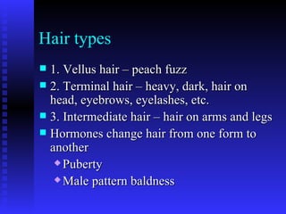 Integumentary system | PPT