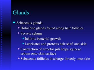 Integumentary system | PPT