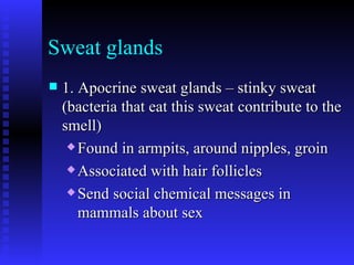 Integumentary system | PPT