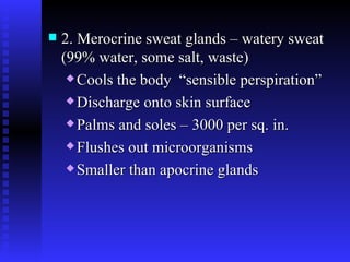 Integumentary system | PPT