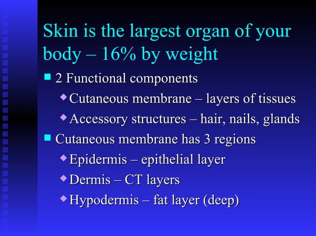Integumentary system | PPT