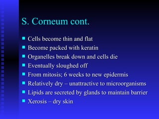 Integumentary system | PPT