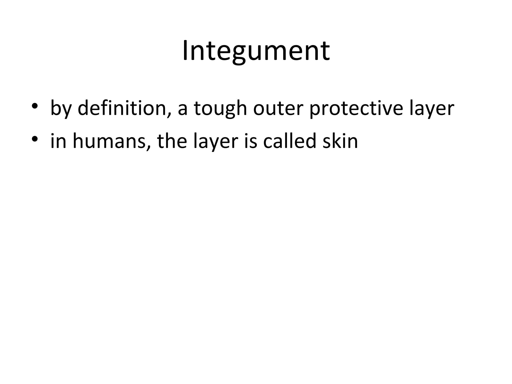 Integumentary system | PPT