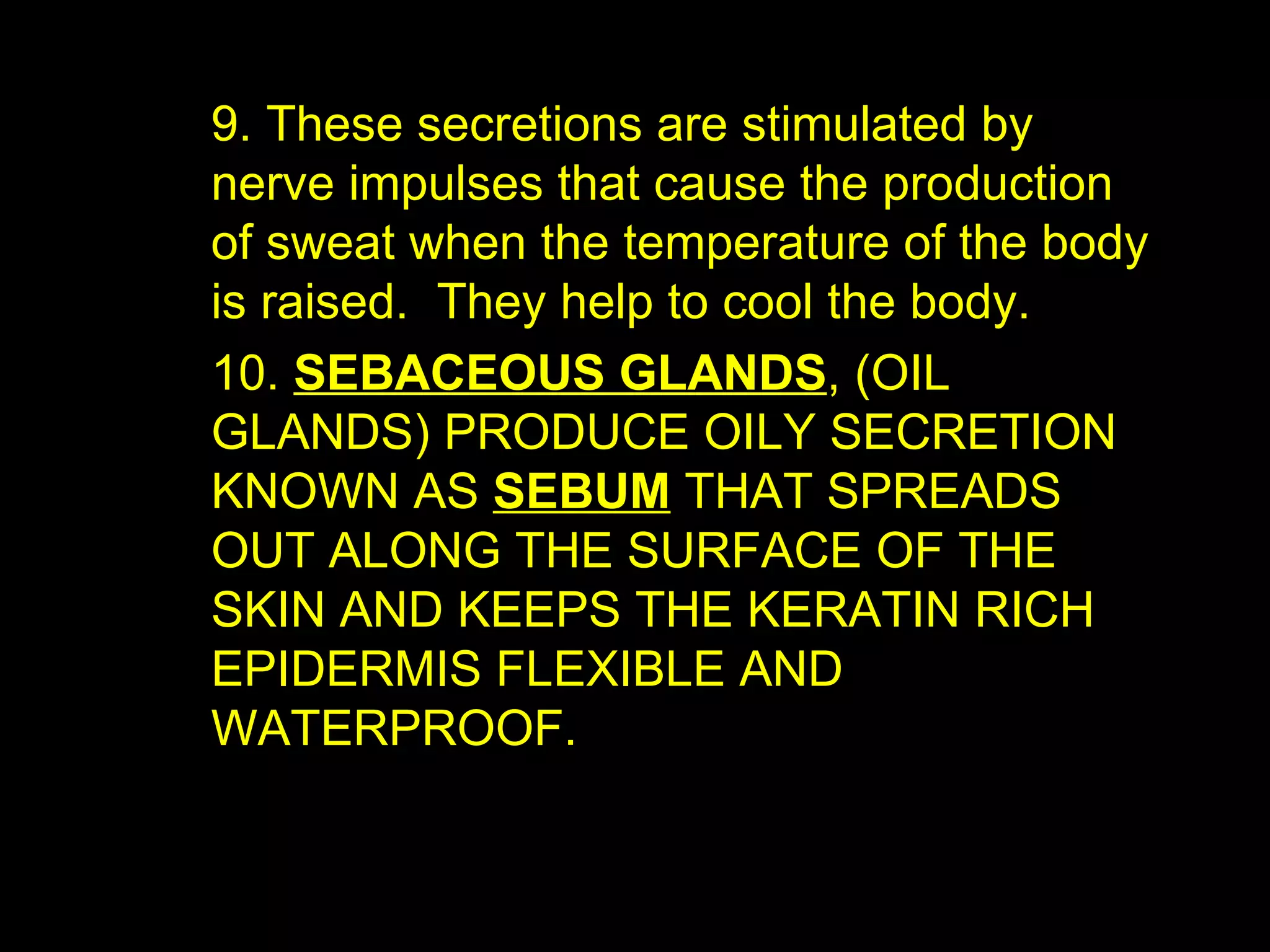 Integumentary system | PPT