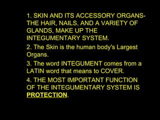 Integumentary system | PPT