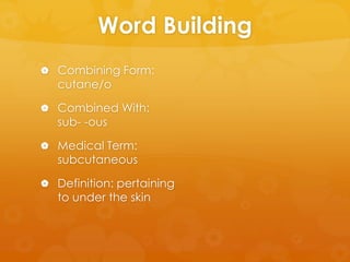 Integumentary system | PPTX