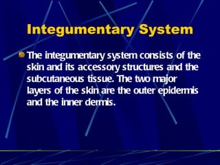 Chapter 4-- Integumentary system | PPT | Skin and Dermatology ...