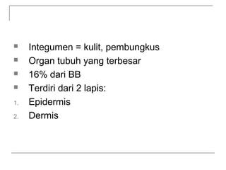 Integumentary system | PPT