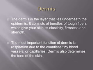 Integumentary system | PPTX