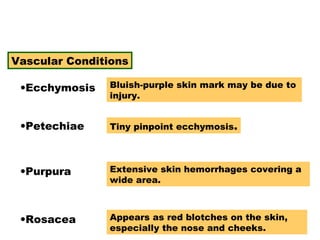 Integumentary system | PPT