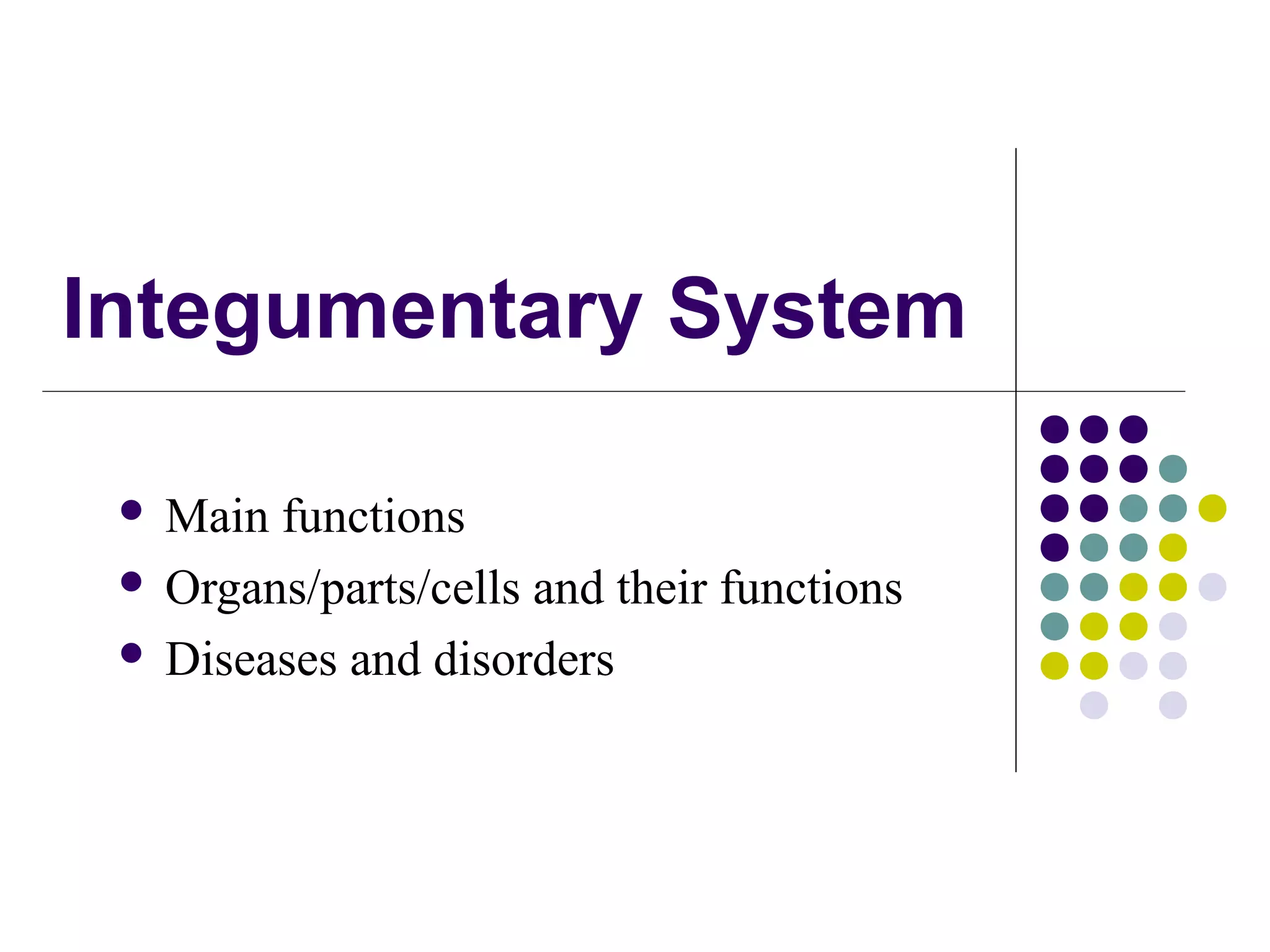 Integumentary system | PPT