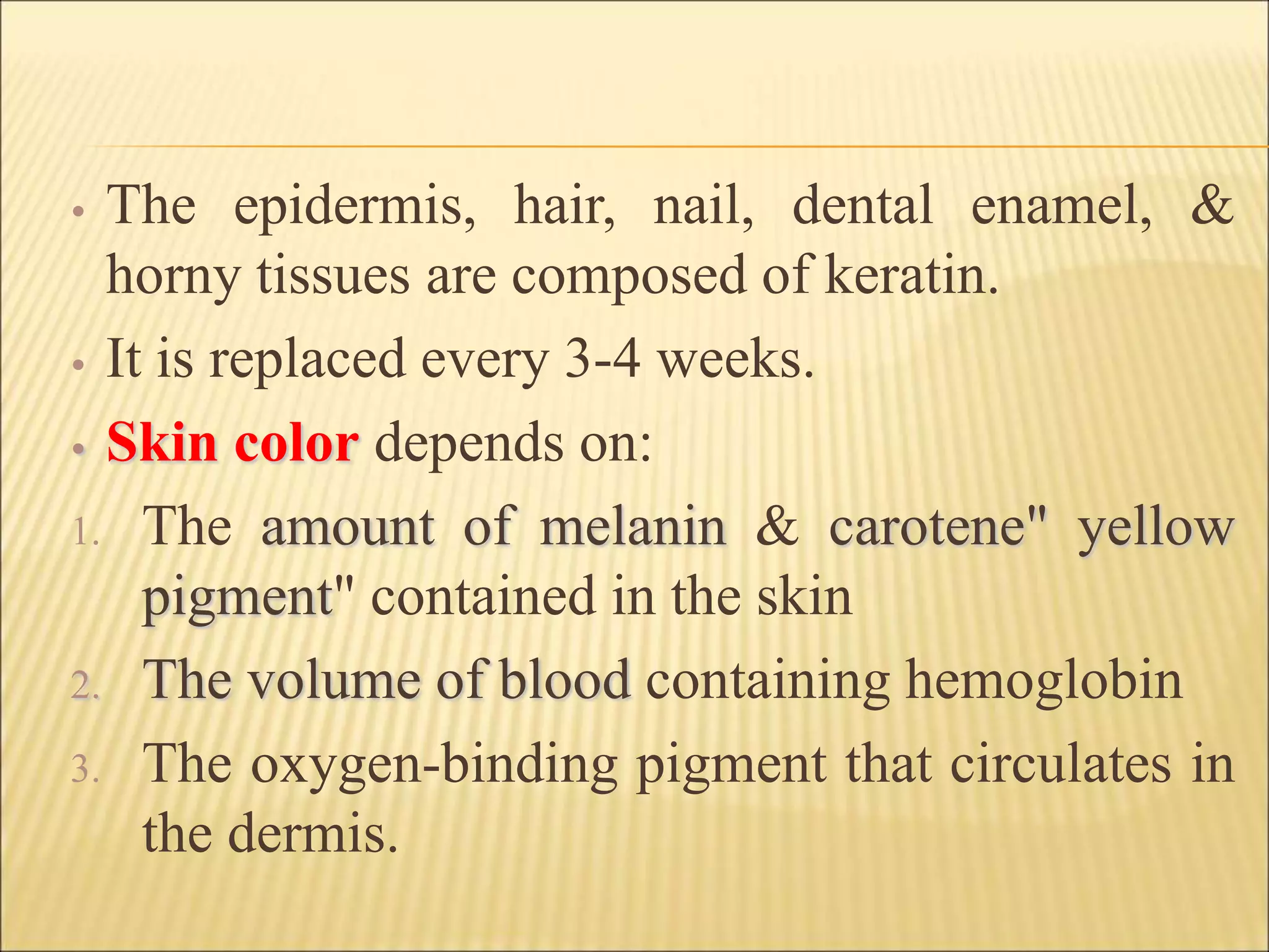 Integumentary system | PPT