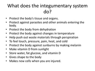 Integumentary system | PPT