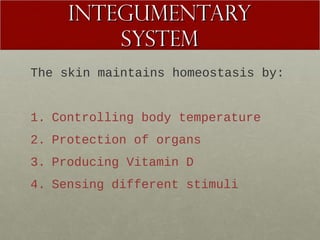 Integumentary system | PPT