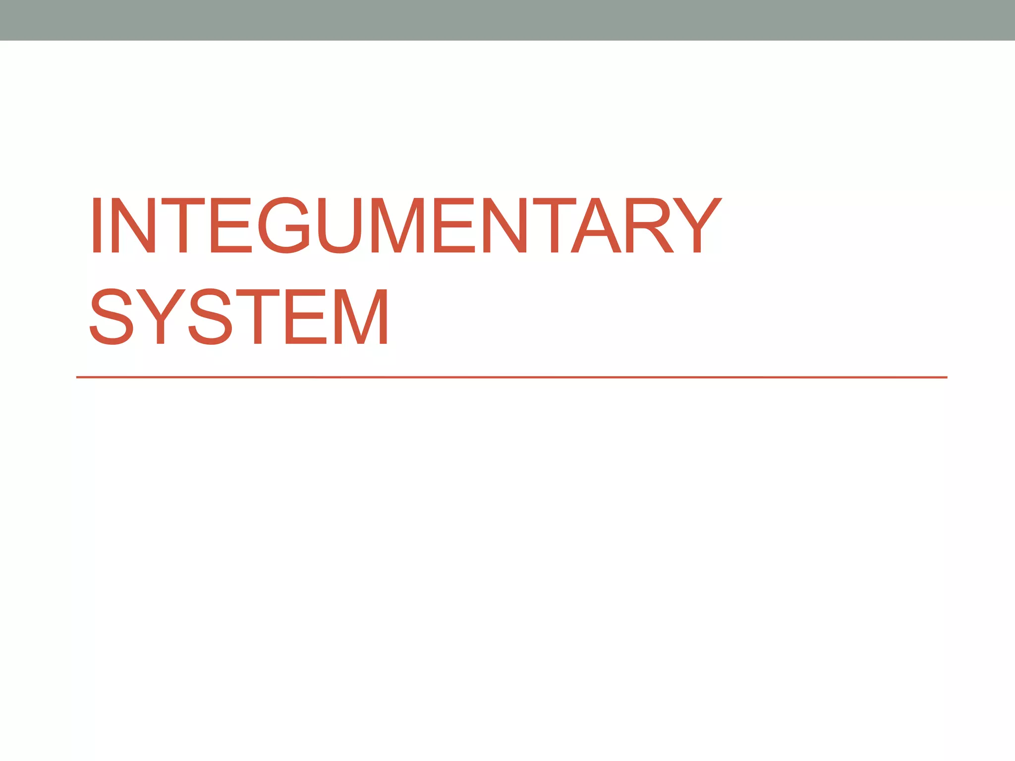 Integumentary system | PPTX