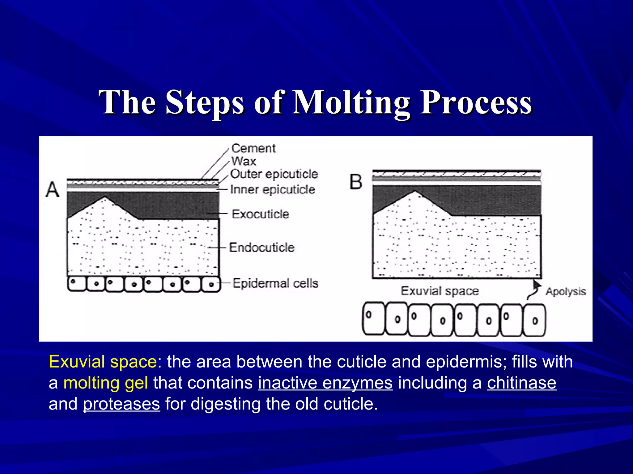 Integumentary system department of Agriculture abdul wali khan ...