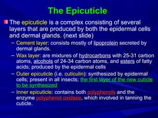 Integumentary system department of Agriculture abdul wali khan ...