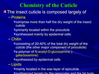Integumentary system department of Agriculture abdul wali khan ...