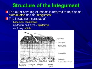 Integumentary system department of Agriculture abdul wali khan ...
